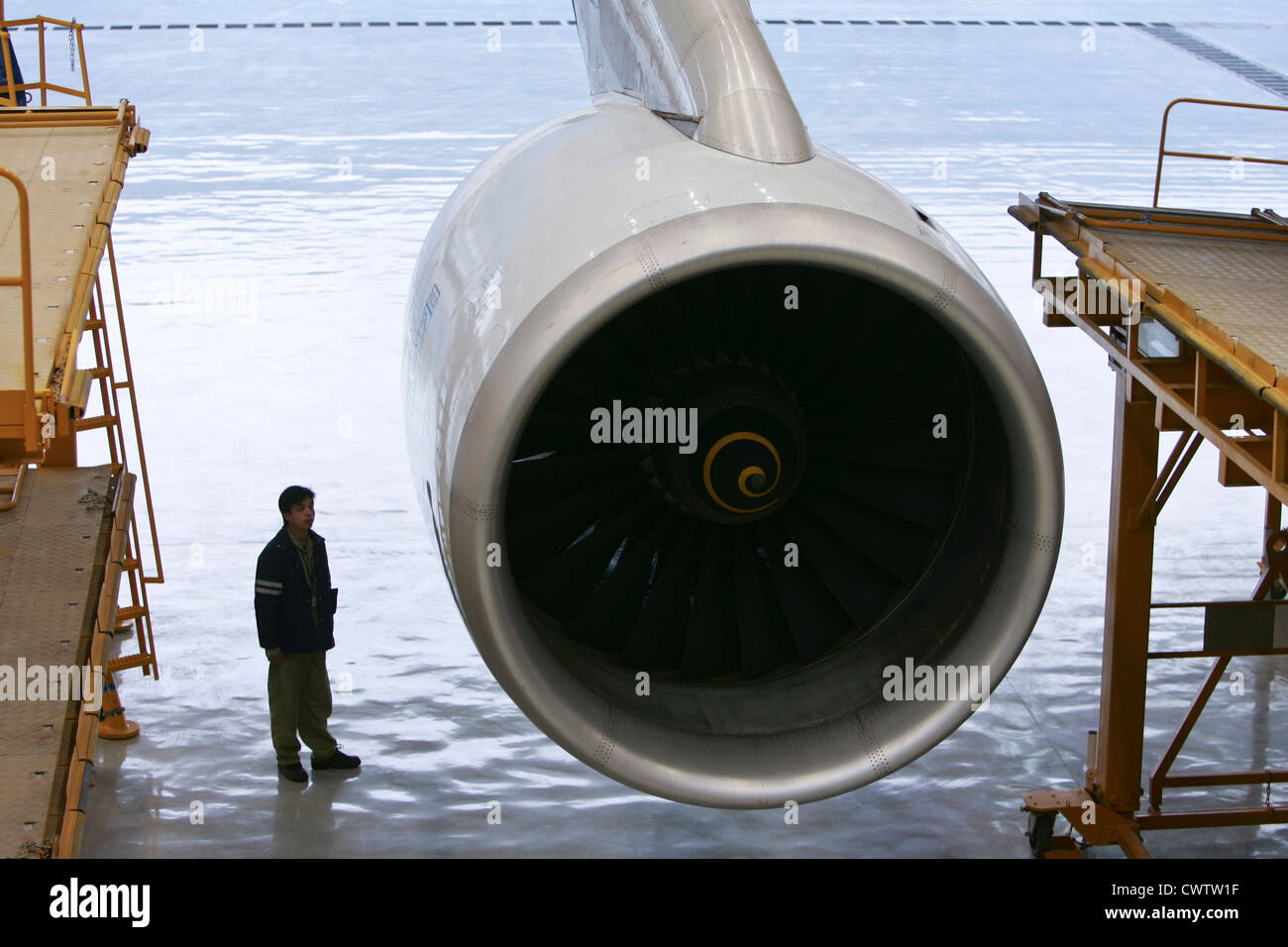 A Chinese worker inspects a jet engine of a Cathay Pacific cargo plane ...