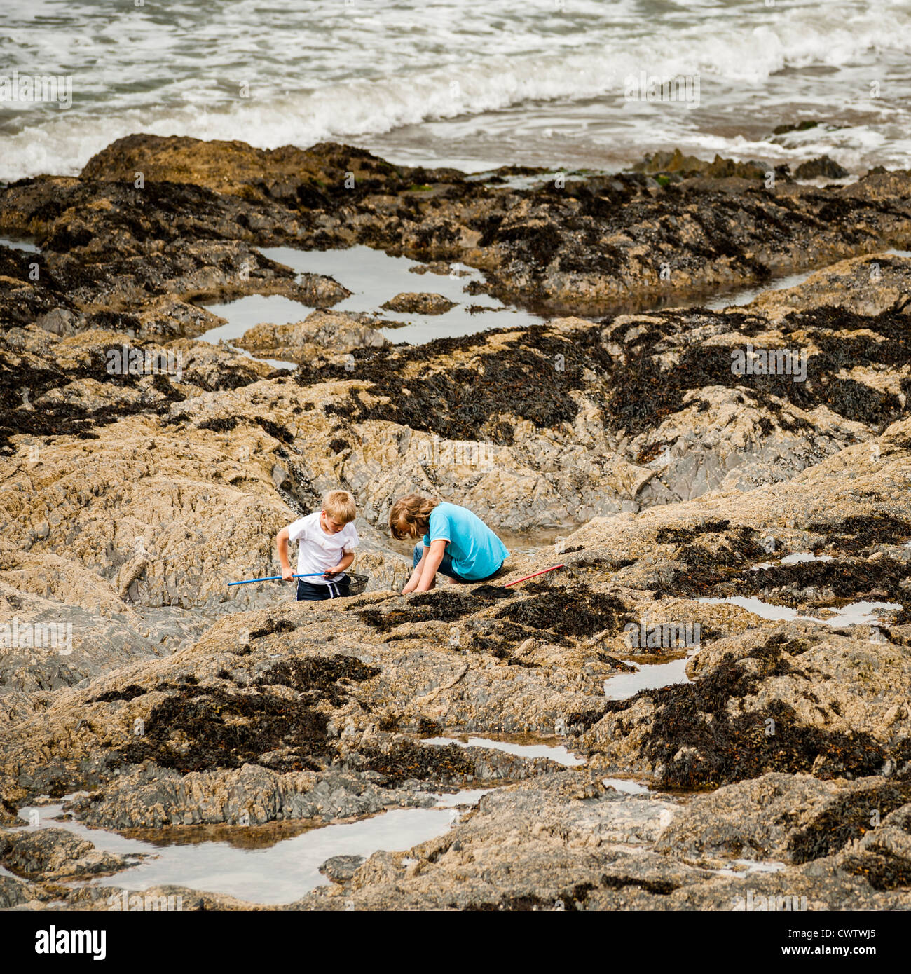 Summer afternoon - Two young boys playing exploring rock pools at the ...