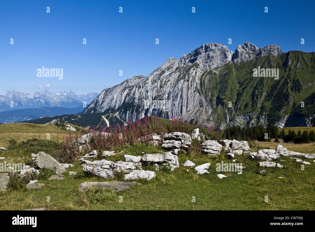 Mont Saxonnex (Haute Savoie,France) : The Grand Bargy Stock Photo - Alamy