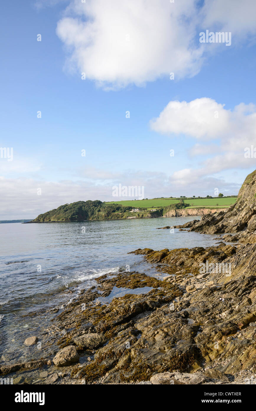 Cornish coast looking towards Swanpool Cove Falmouth Cornwall England ...