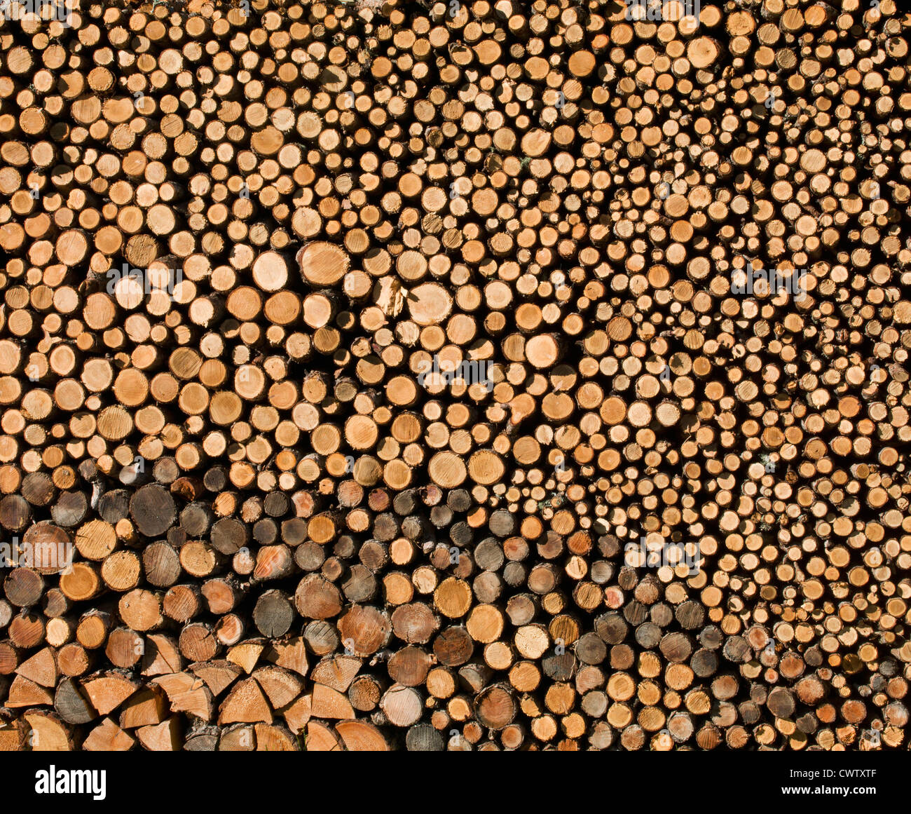 Detail view of stack of logs Stock Photo - Alamy