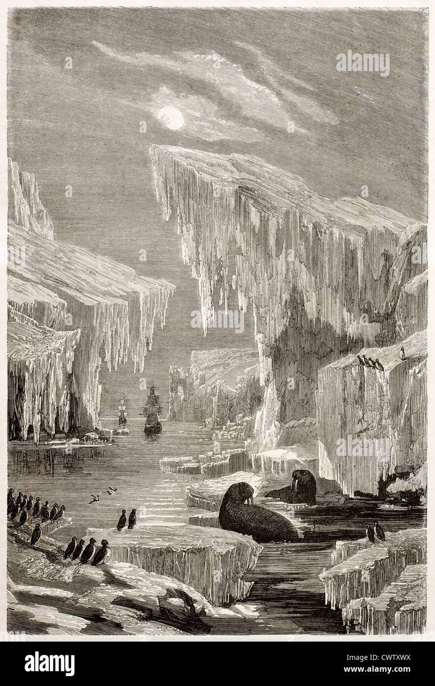 Franklin expedition hi-res stock photography and images - Alamy