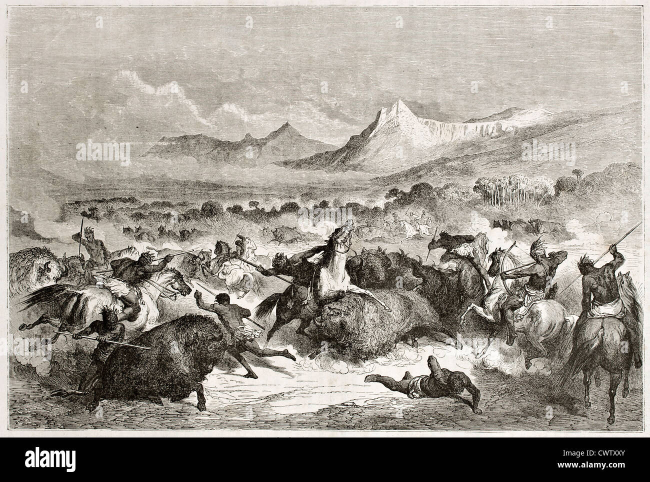 Native american indian hunting buffalo hi-res stock photography and ...