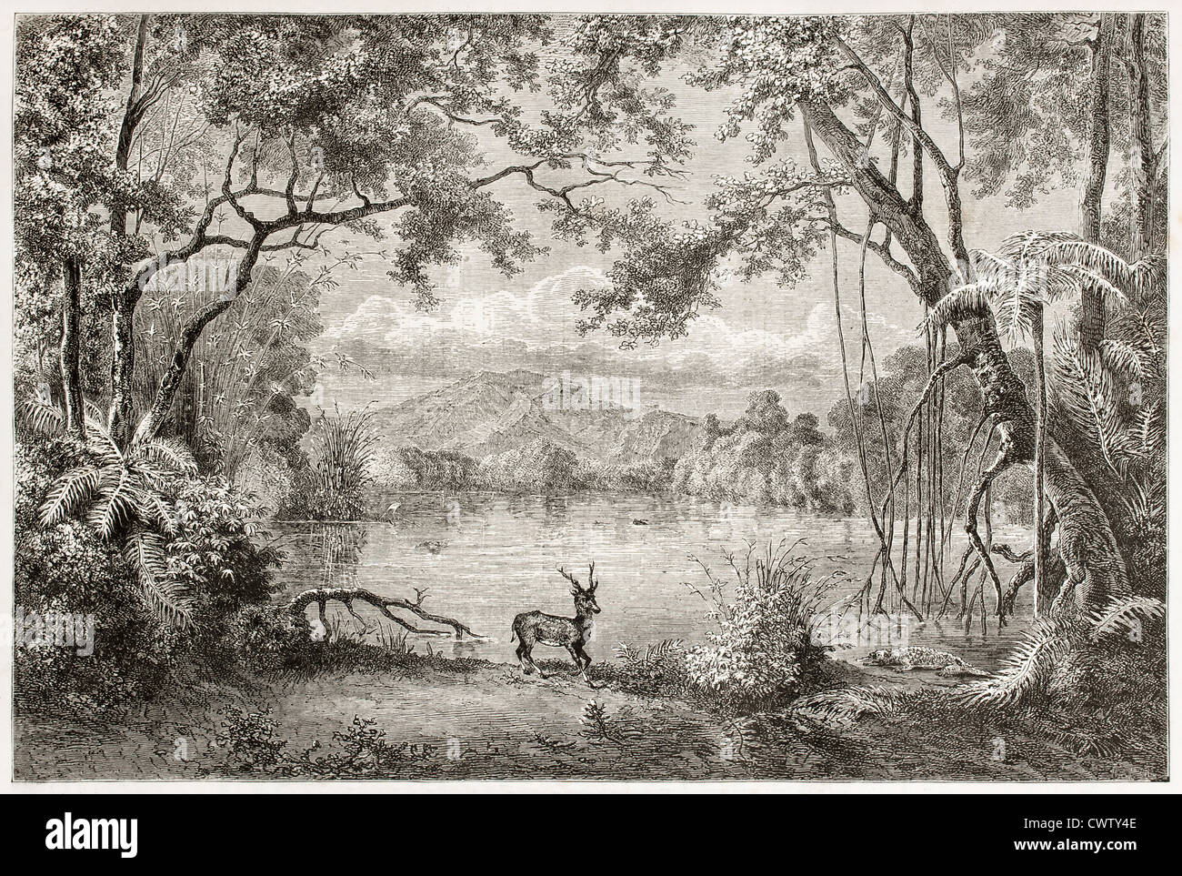 Old view of enchanted lagoon, in Luzon island, Philippines Stock Photo ...