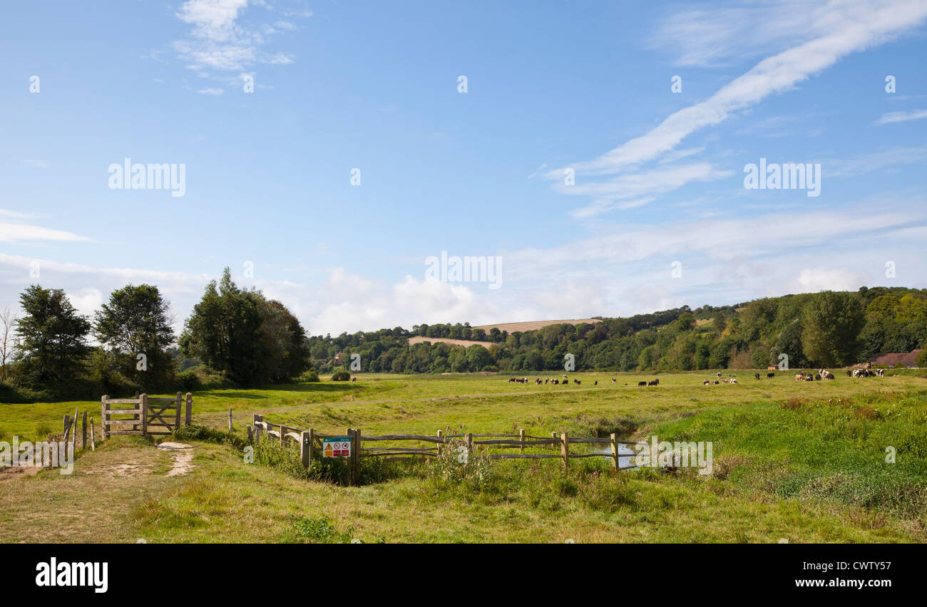 South Downs countryside Stock Photo - Alamy