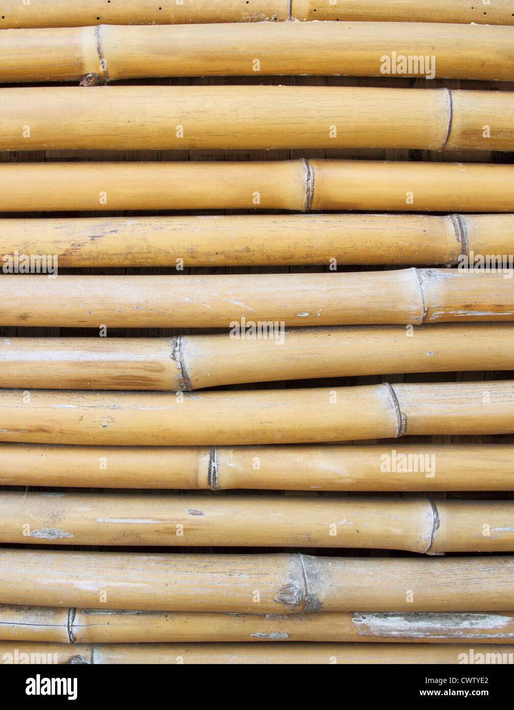 bamboo fence texture Stock Photo - Alamy
