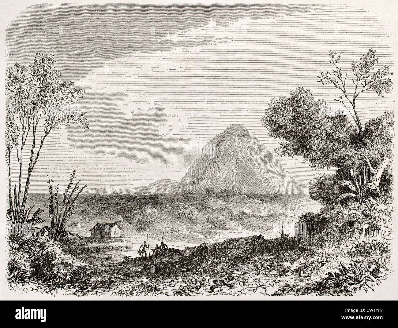 Darwin galapagos drawing hi-res stock photography and images - Alamy