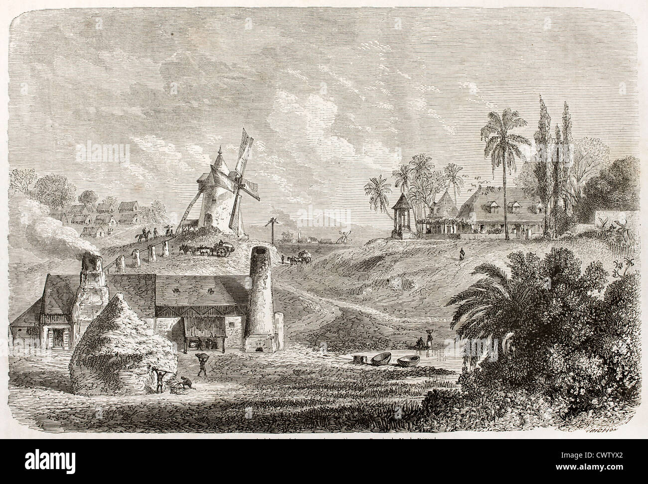 Sugar cane history drawing hi-res stock photography and images - Alamy