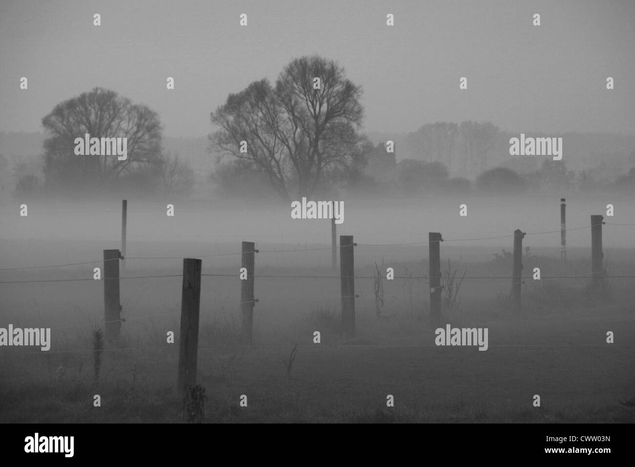 Tree in rural landscape Black and White Stock Photos & Images - Alamy
