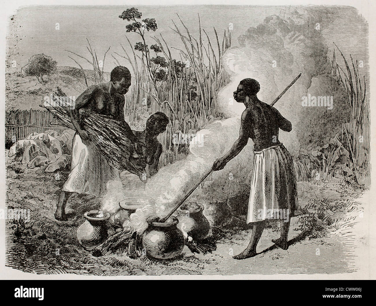 Old illustration of beer making in Unyamwezi region, Tanzania Stock ...