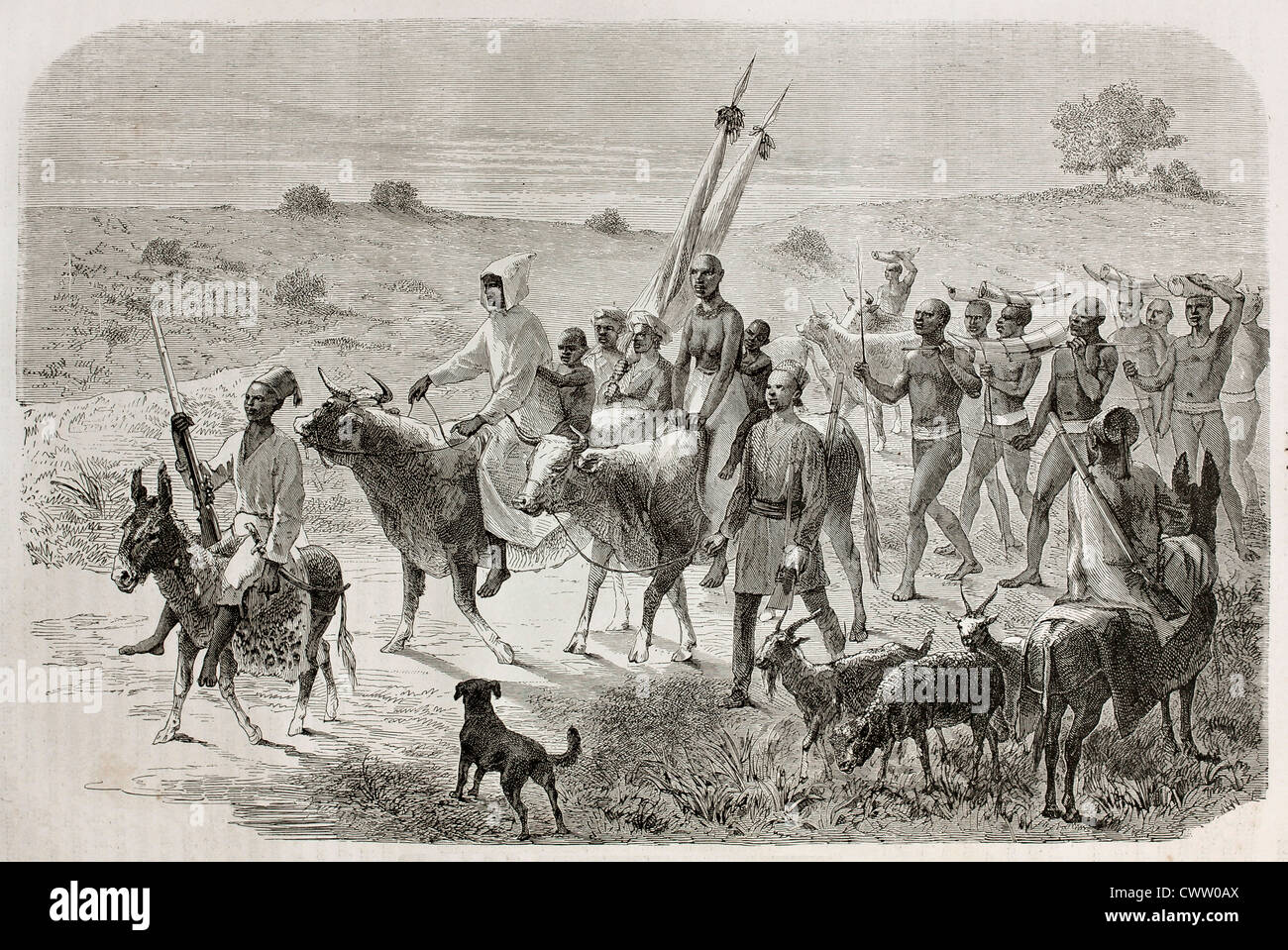 Drawing caravan hi-res stock photography and images - Alamy