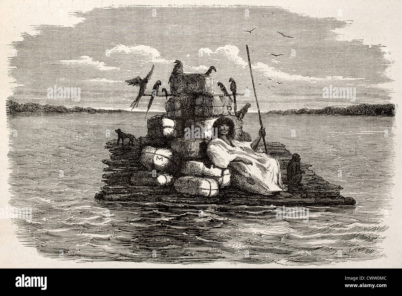 natiive Peruvian on a barge carrying animals Stock Photo - Alamy