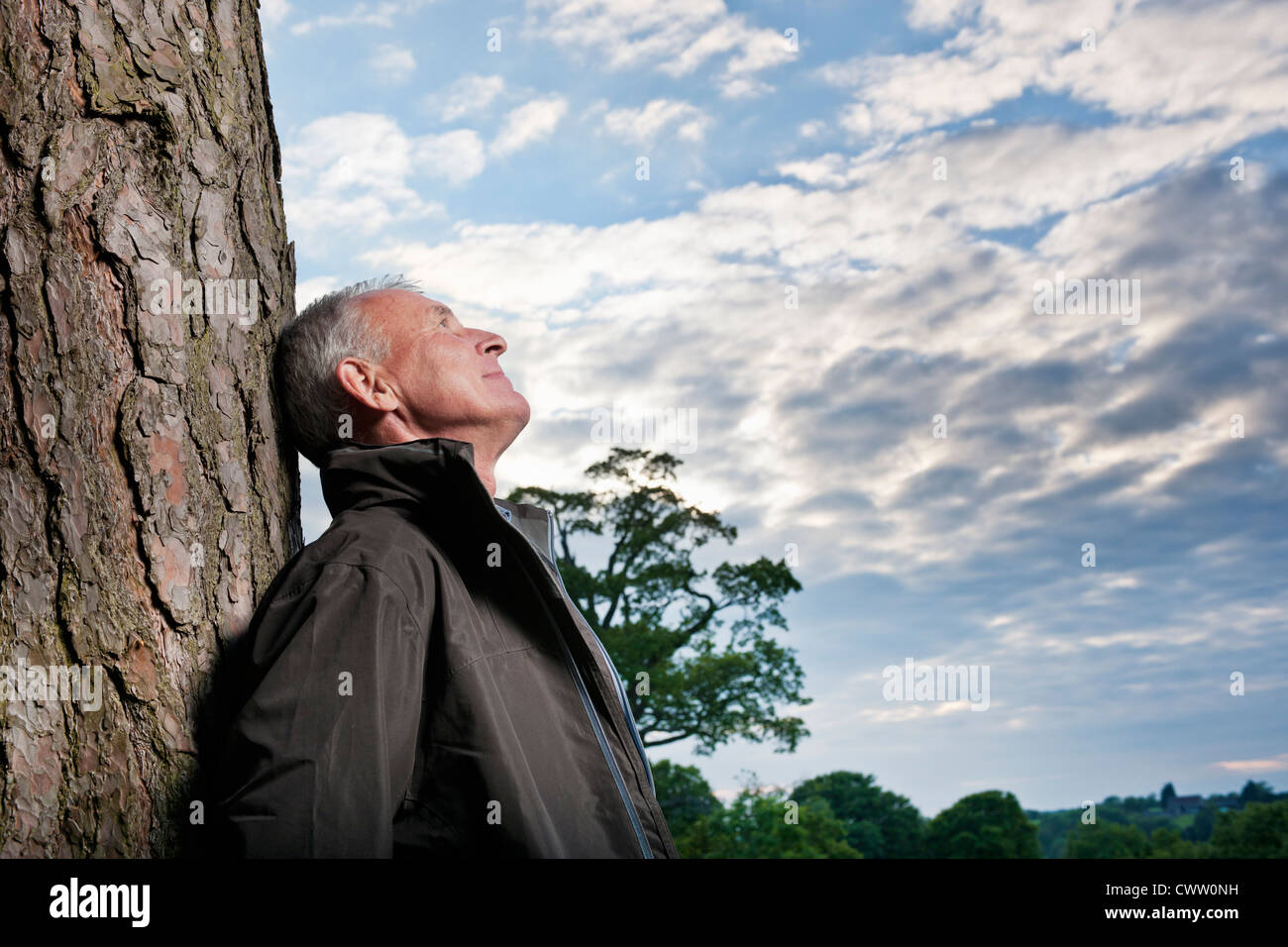 Man leaning against tree outdoors Stock Photo - Alamy