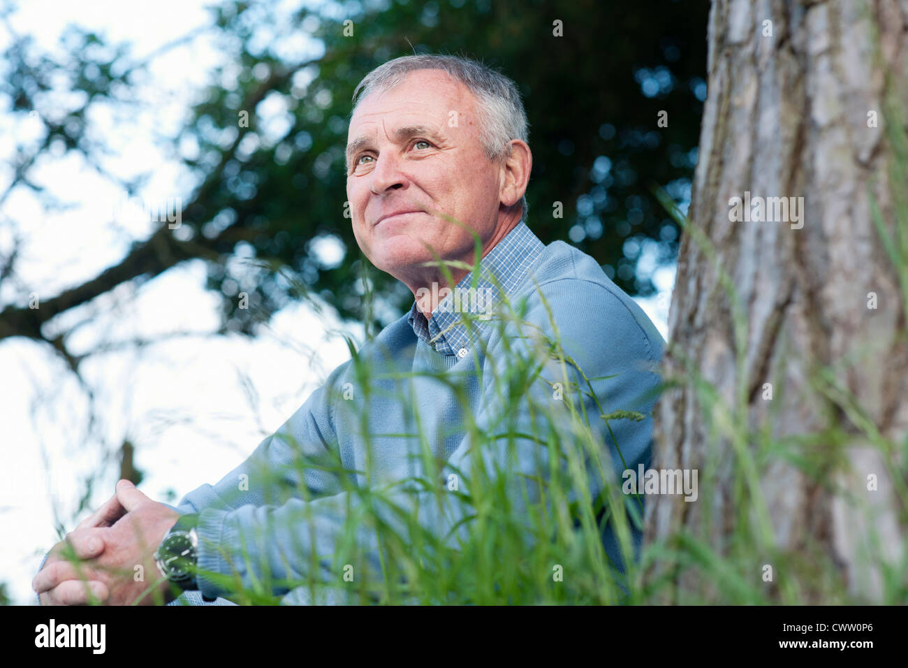 Man leaning against tree Stock Photo - Alamy