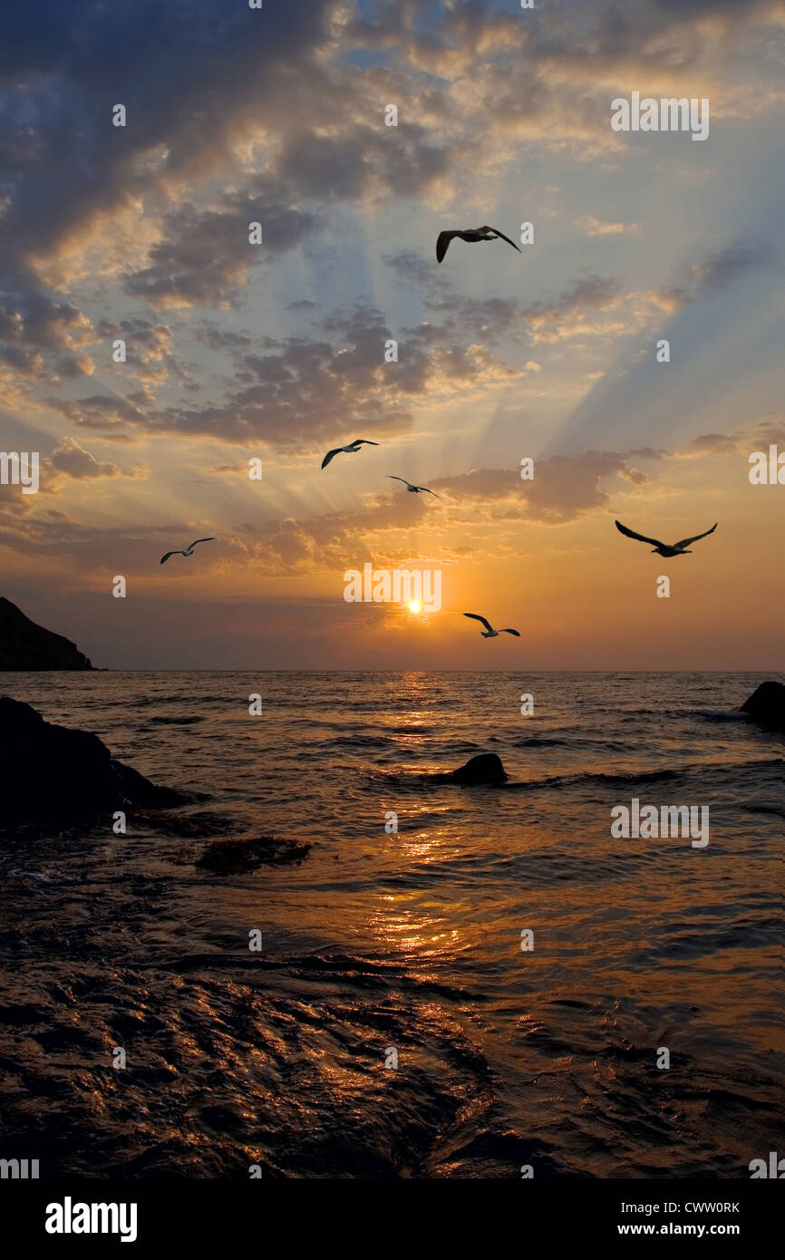 Rising sun wave hi-res stock photography and images - Alamy