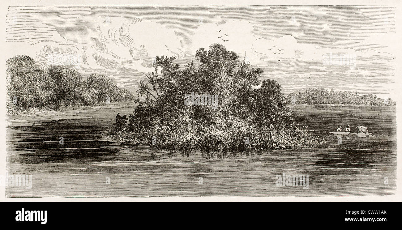 Jandiatuba river confluence into Amazon Stock Photo - Alamy