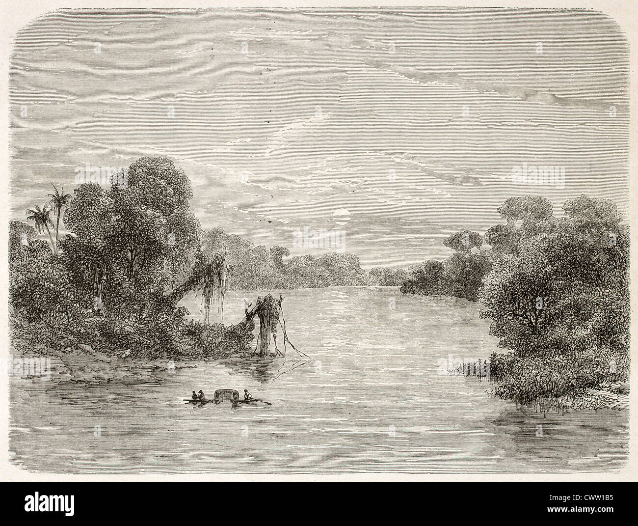 Jurua river confluence into Amazon Stock Photo - Alamy