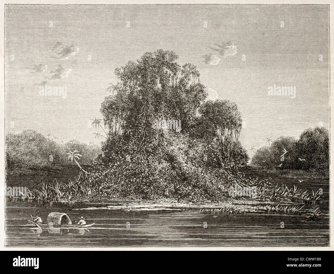 Jutai river hi-res stock photography and images - Alamy