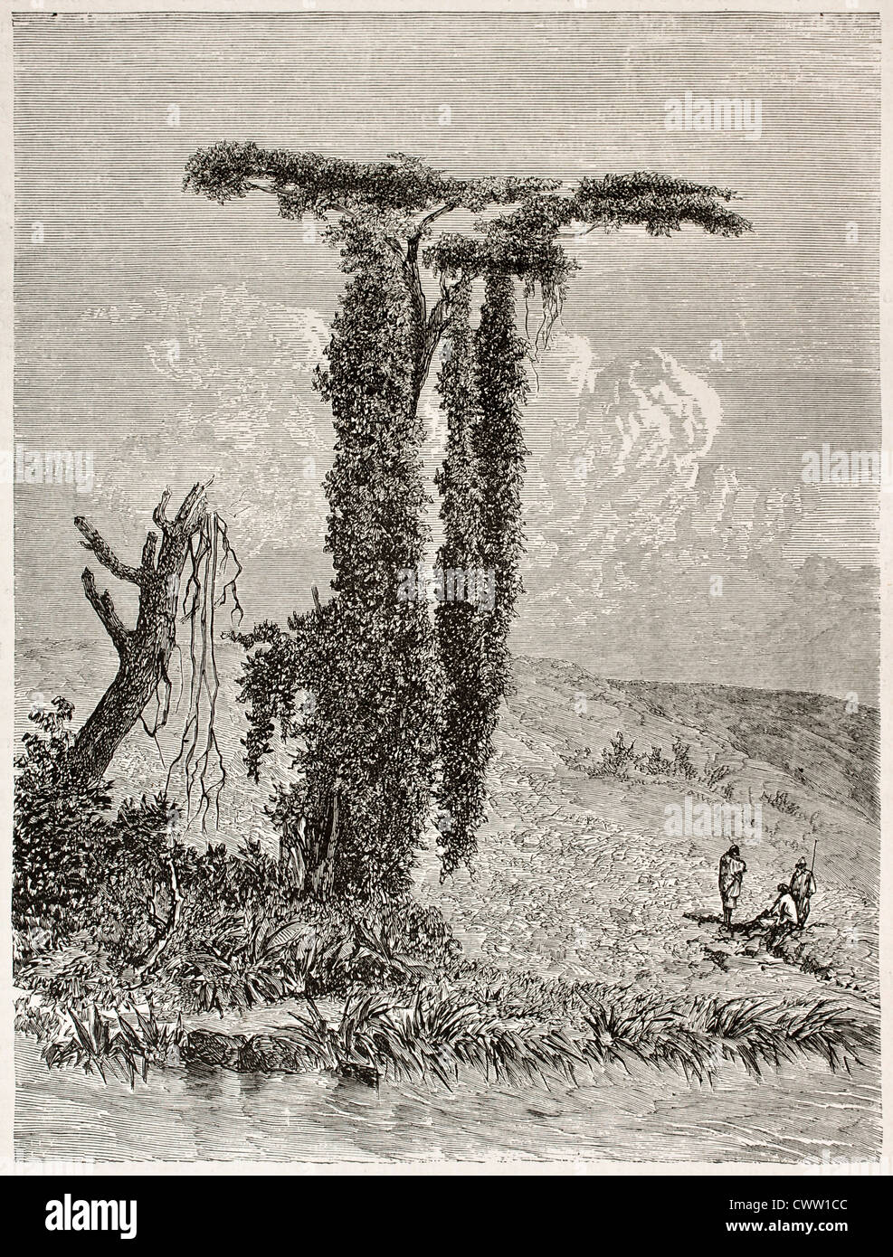 Bank of abyssinia hi-res stock photography and images - Alamy