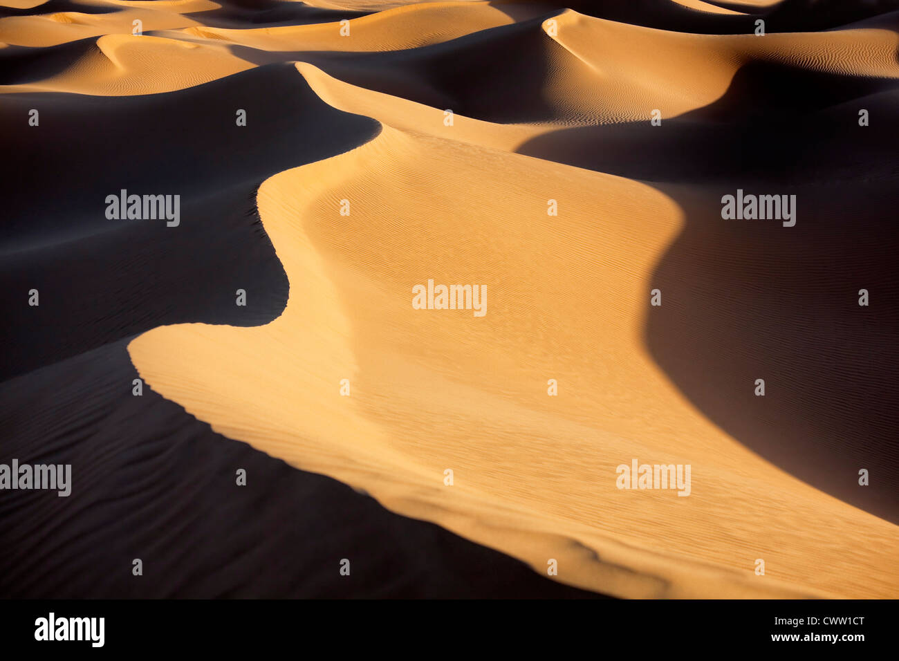Picture of sand dunes in the Sahara desert of Morocco Stock Photo - Alamy