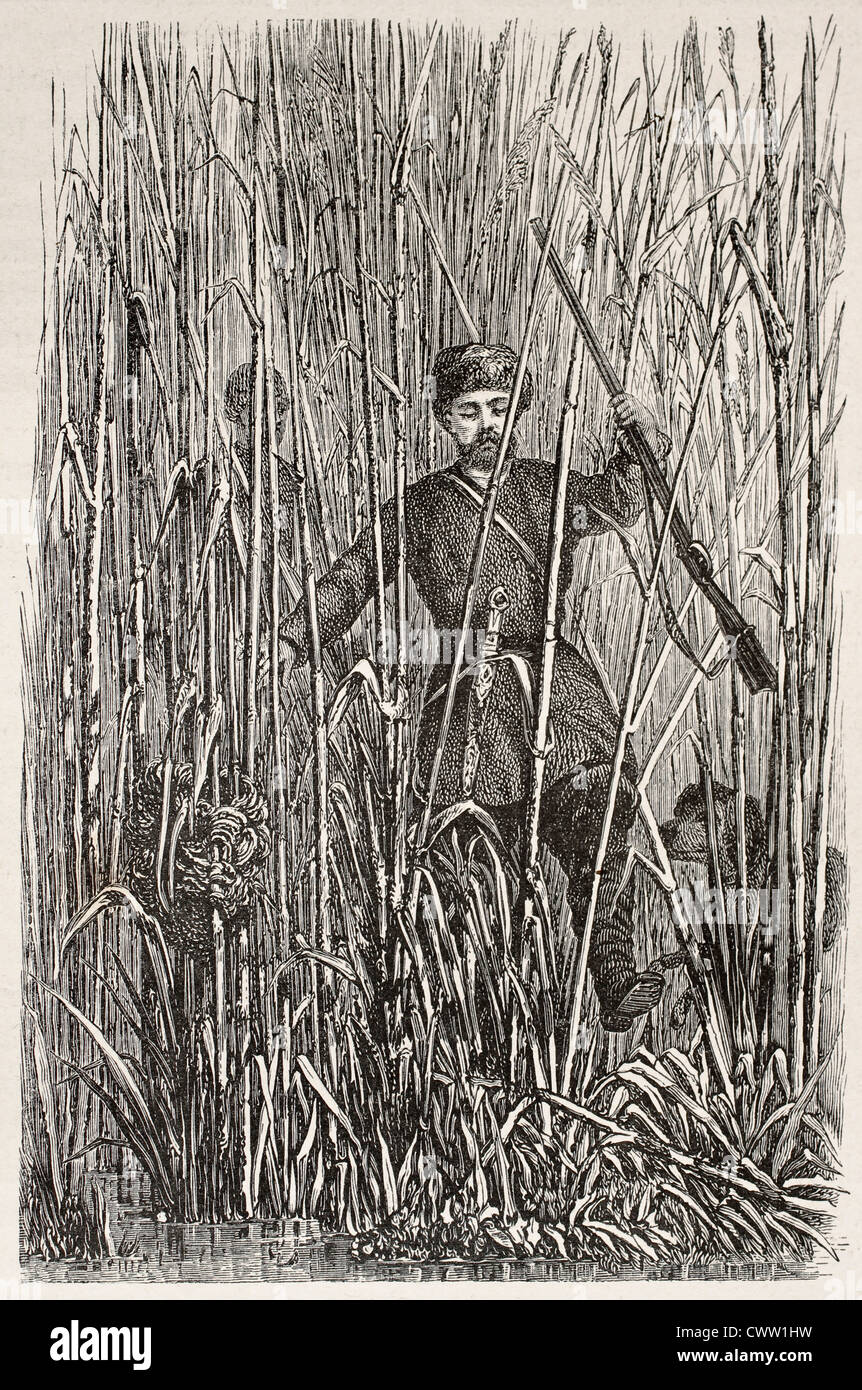 Russian hunter in Volga mouth Stock Photo - Alamy