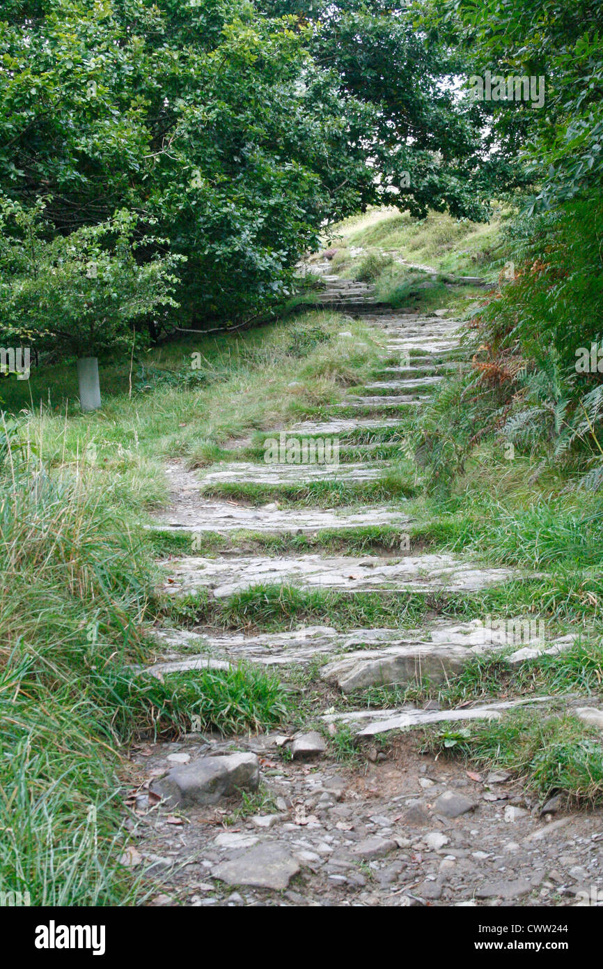 Steps climb hi-res stock photography and images - Alamy