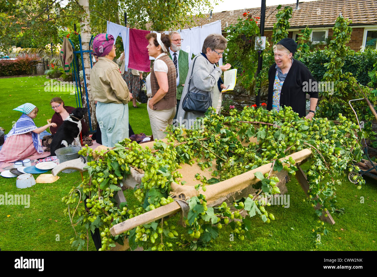 Women picking hops hi-res stock photography and images - Alamy