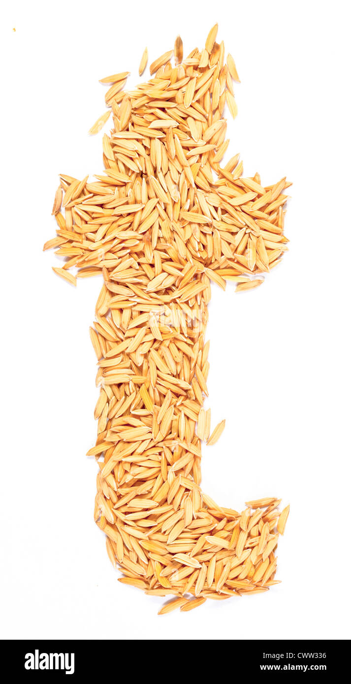 t, alphabet,Letter from Paddy rice on white Stock Photo - Alamy
