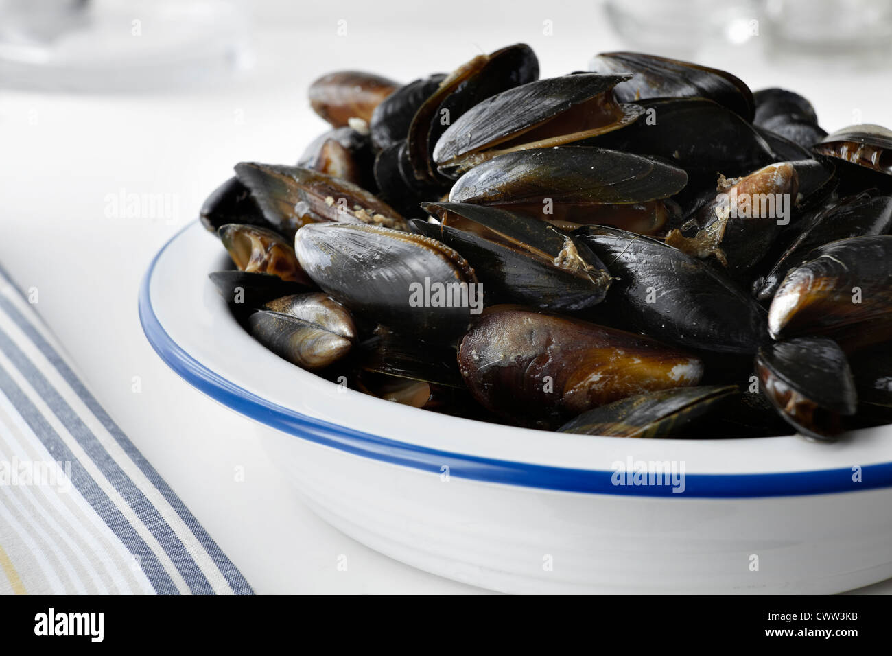 Close up of mussel hi-res stock photography and images - Alamy