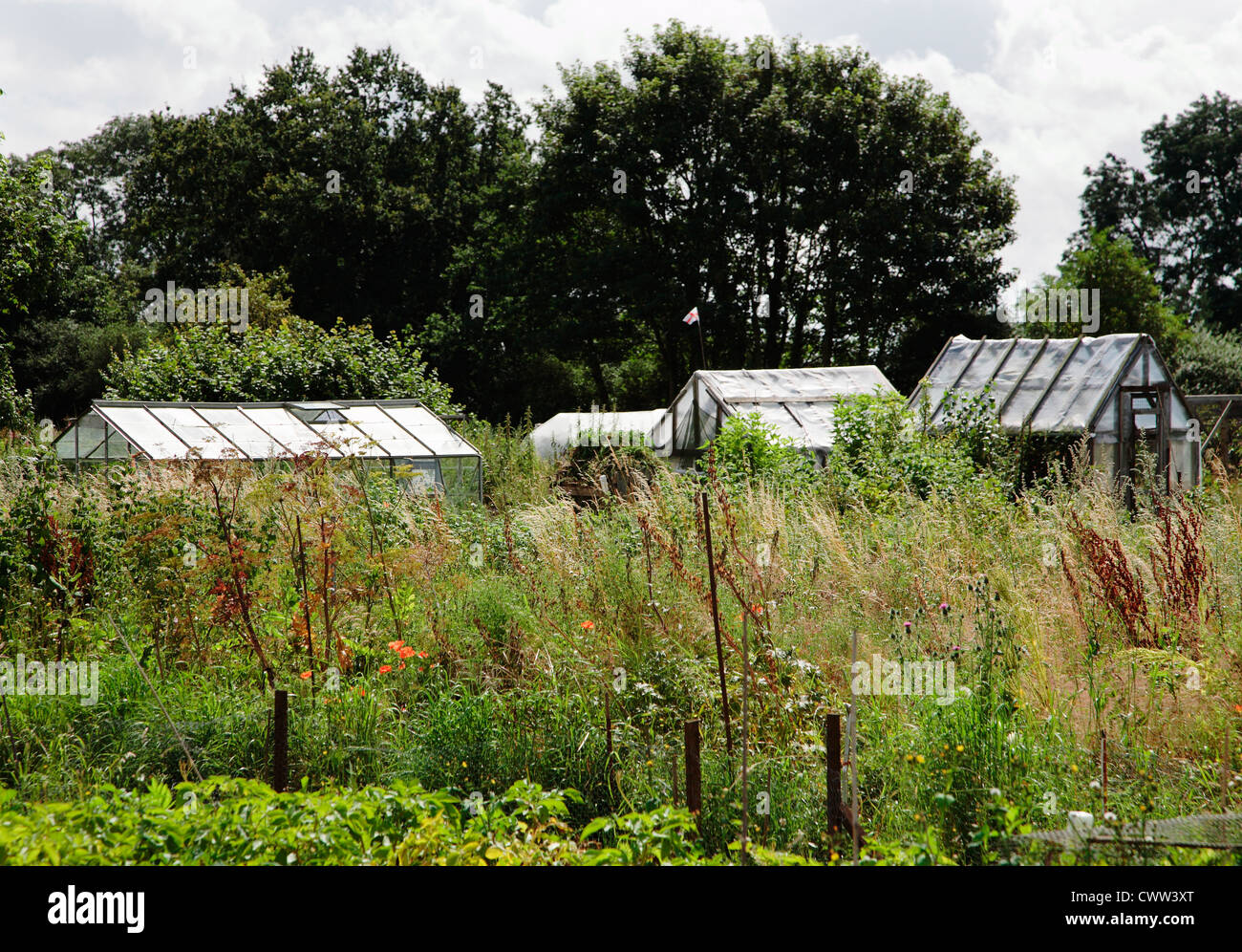 Allotment house hi-res stock photography and images - Alamy