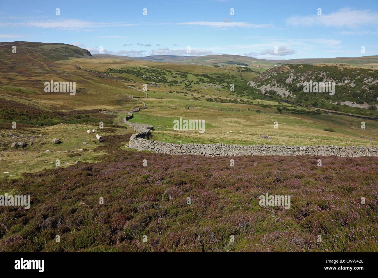 Heather fell hi-res stock photography and images - Alamy