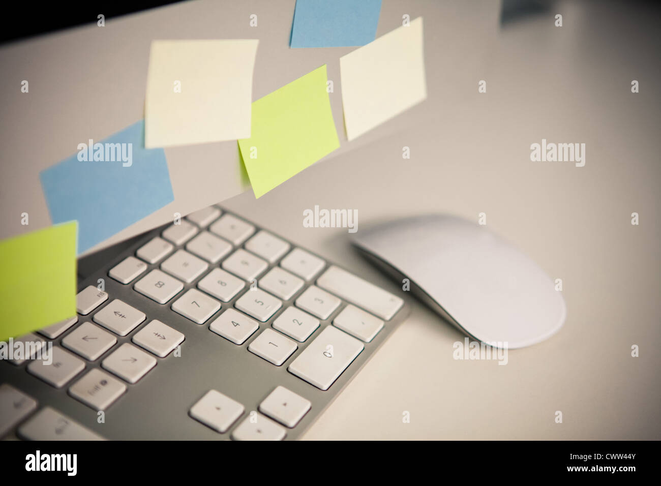 Blank adhesive notes at computer monitor Stock Photo - Alamy