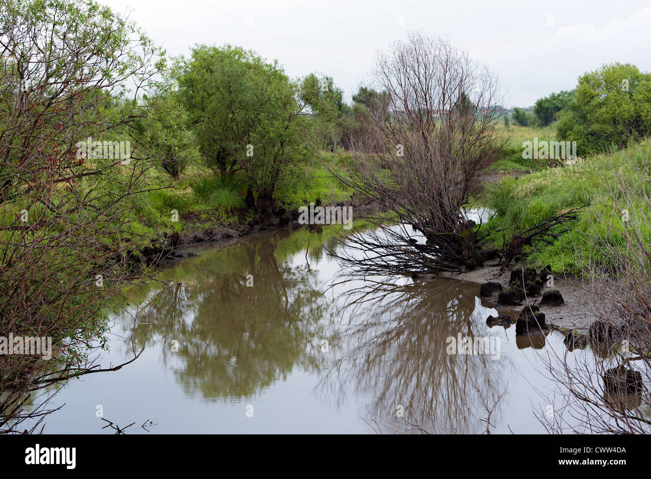 bend of a small river with the reflections of trees Stock Photo - Alamy