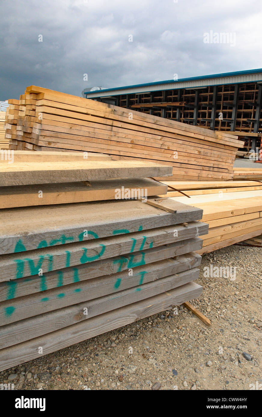 Stacked wood in timber's merchant warehouse Stock Photo - Alamy