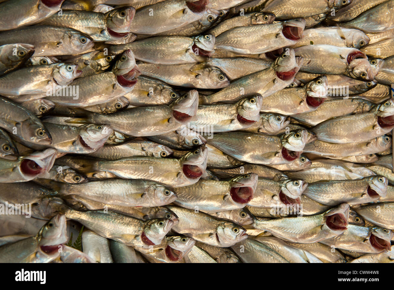 Balik pazari istanbul hi-res stock photography and images - Alamy