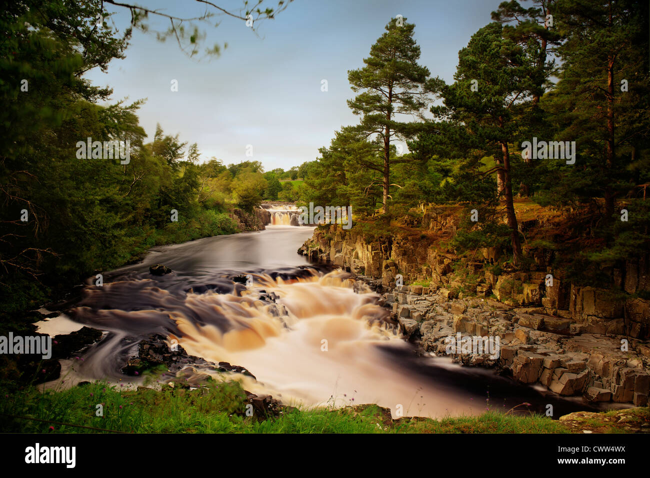 Low Force, waterfall in Teesdale, England UK Stock Photo - Alamy