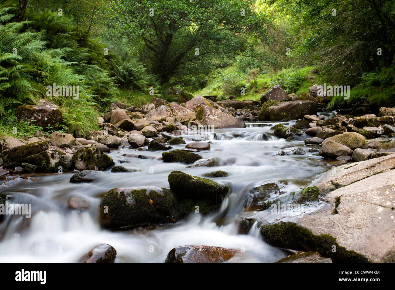 Water flow uk hi-res stock photography and images - Alamy