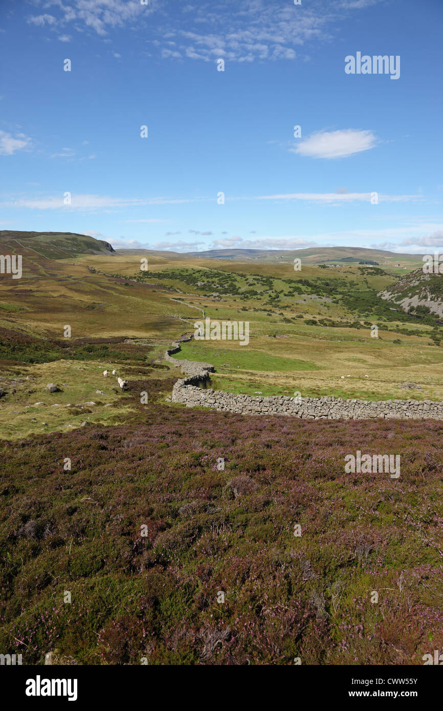 Whiteholm hi-res stock photography and images - Alamy