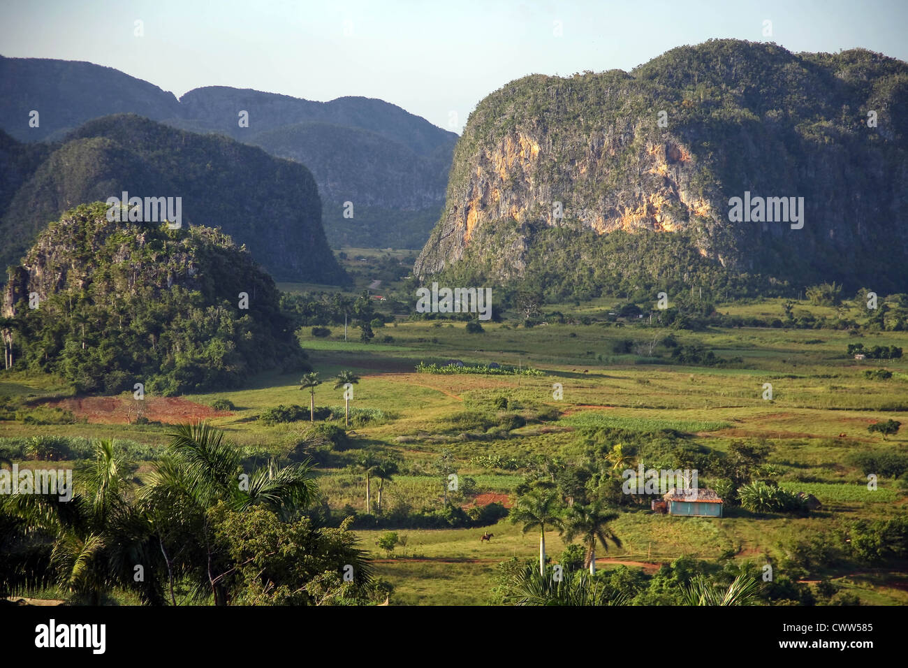 Valle de Vinales, Valle de Vieales Valley, Pinar del Rio, Cuba Stock ...