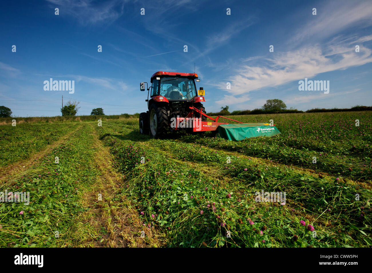 Mow hay hi-res stock photography and images - Alamy