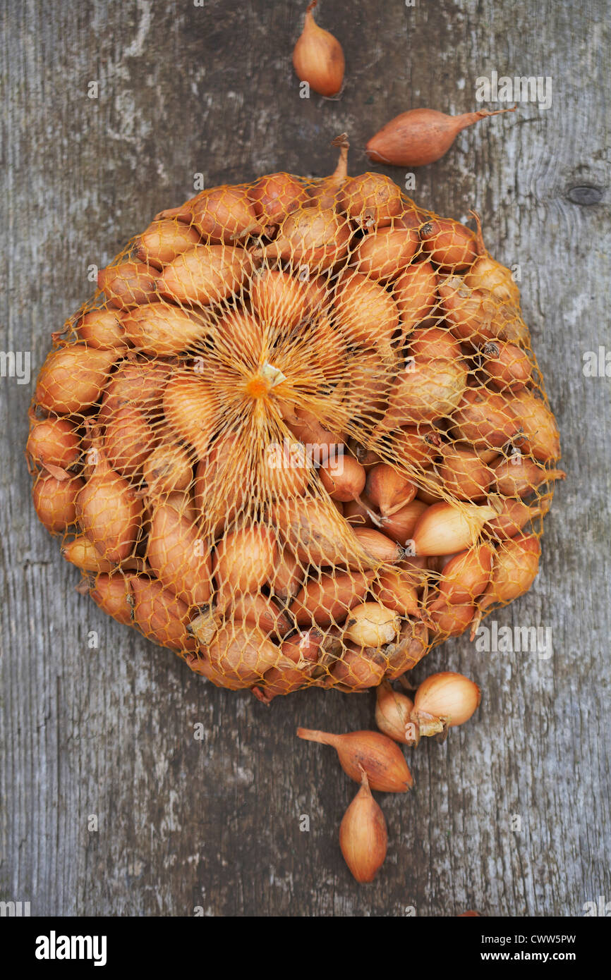 Baby sack hi-res stock photography and images - Alamy