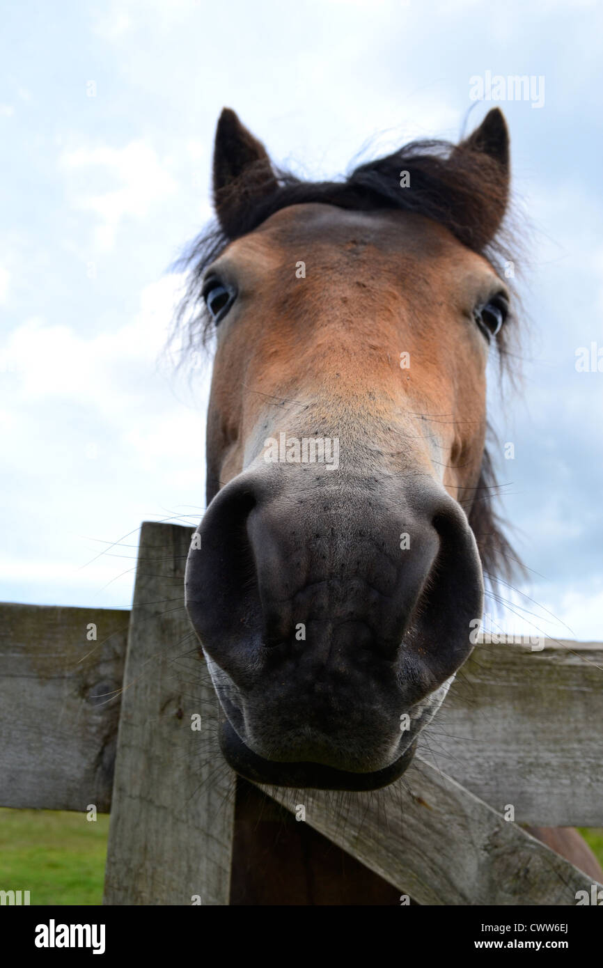 Well hello there! Stock Photo - Alamy