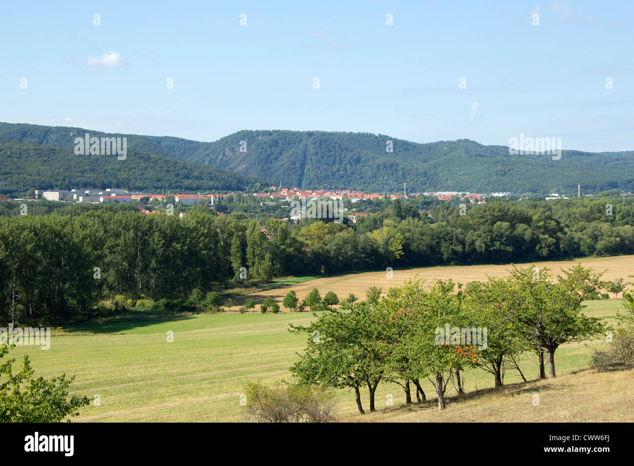 Thale town mountain trees hi-res stock photography and images - Alamy