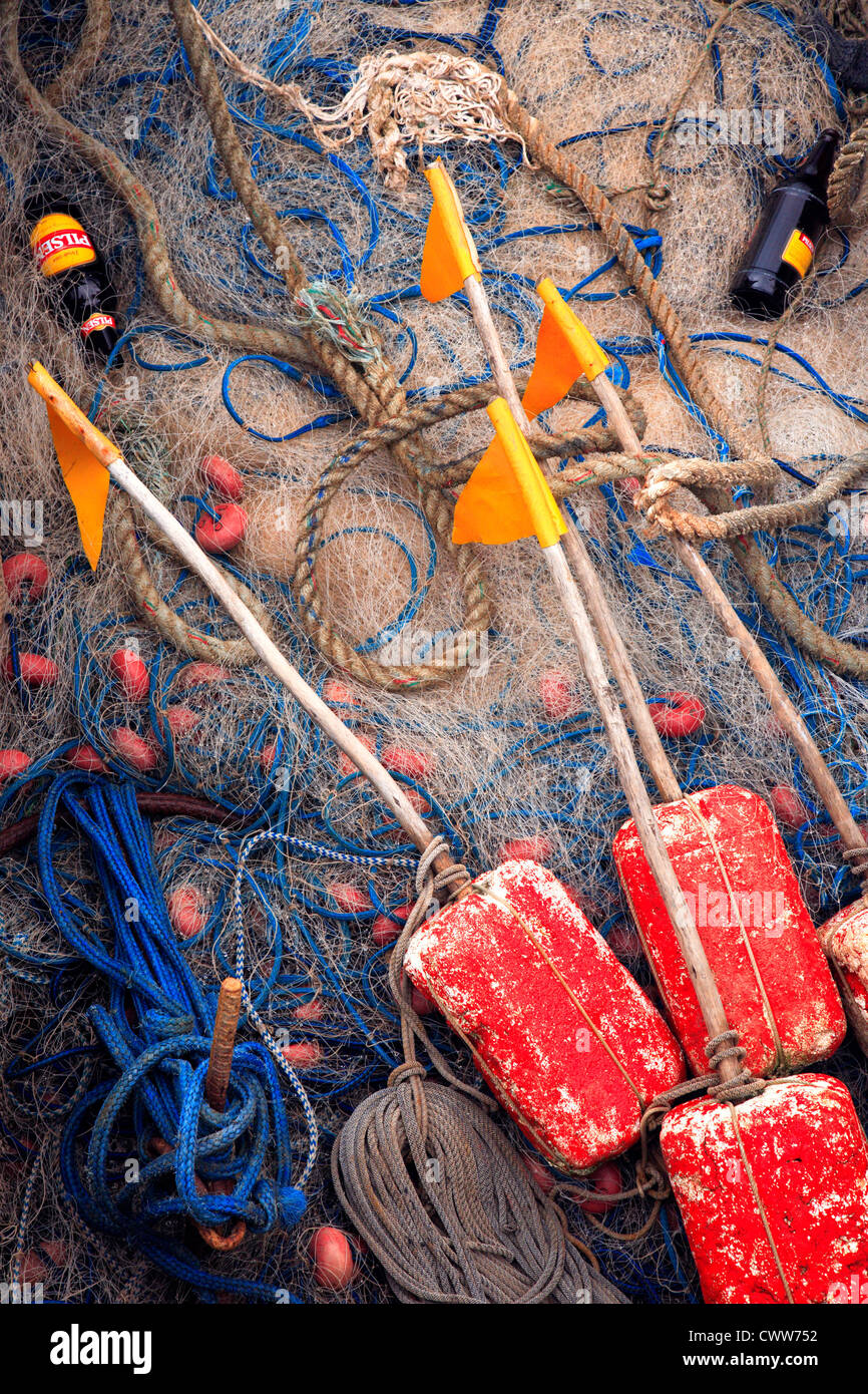 Sailor fish hi-res stock photography and images - Alamy