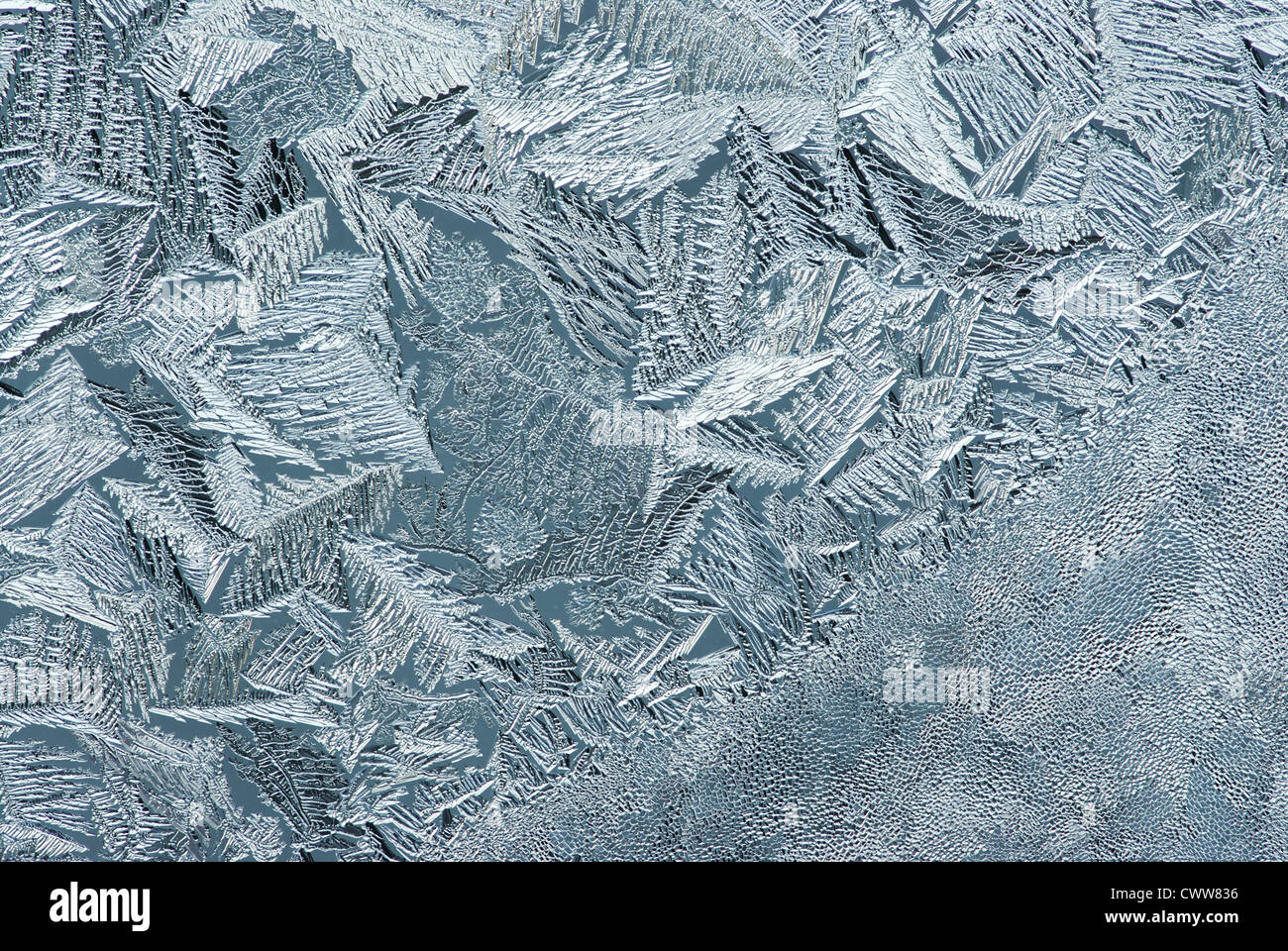 Hoarfrost on glass, texture of ice in thee cold winter Stock Photo - Alamy