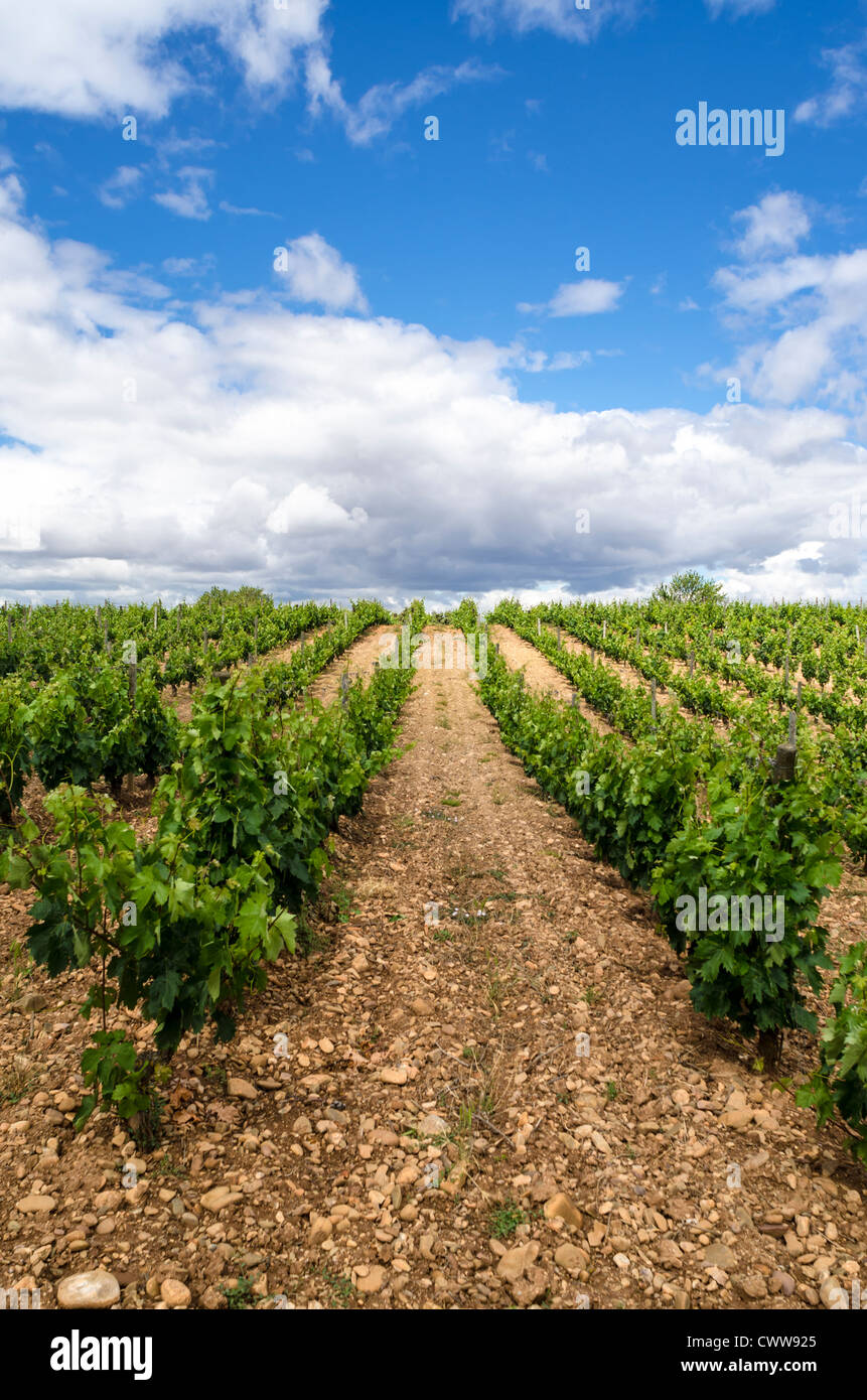 El ciego rioja hi-res stock photography and images - Alamy