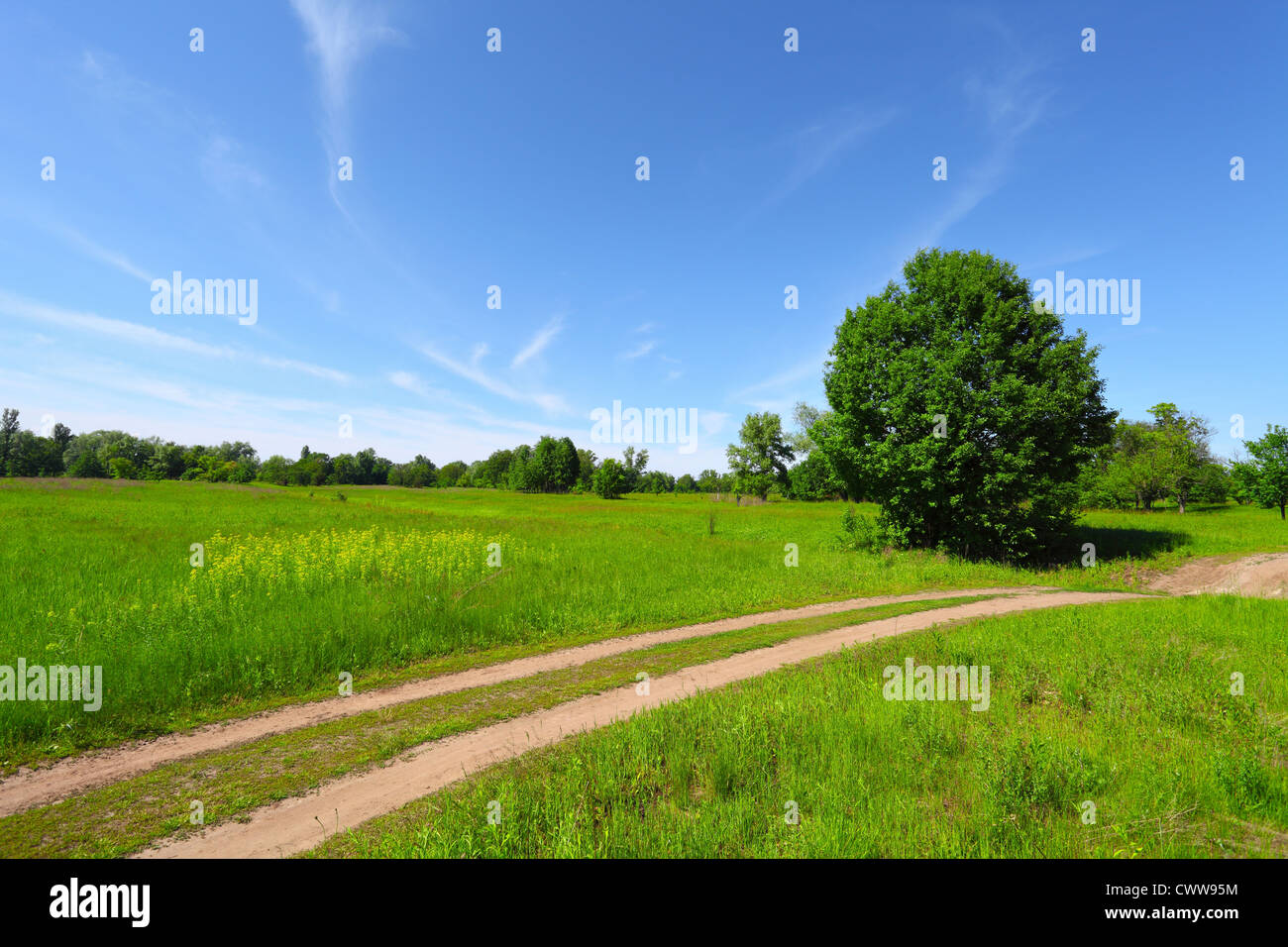 Horizontal photo country road hi-res stock photography and images - Alamy