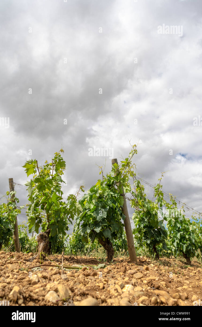 El ciego rioja hi-res stock photography and images - Alamy