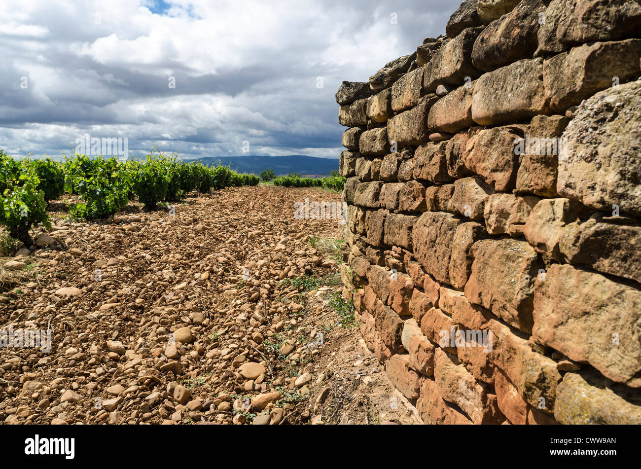 Rioja Alavesa vineyards. El Ciego. Alava, Basque Country, Spain Stock ...