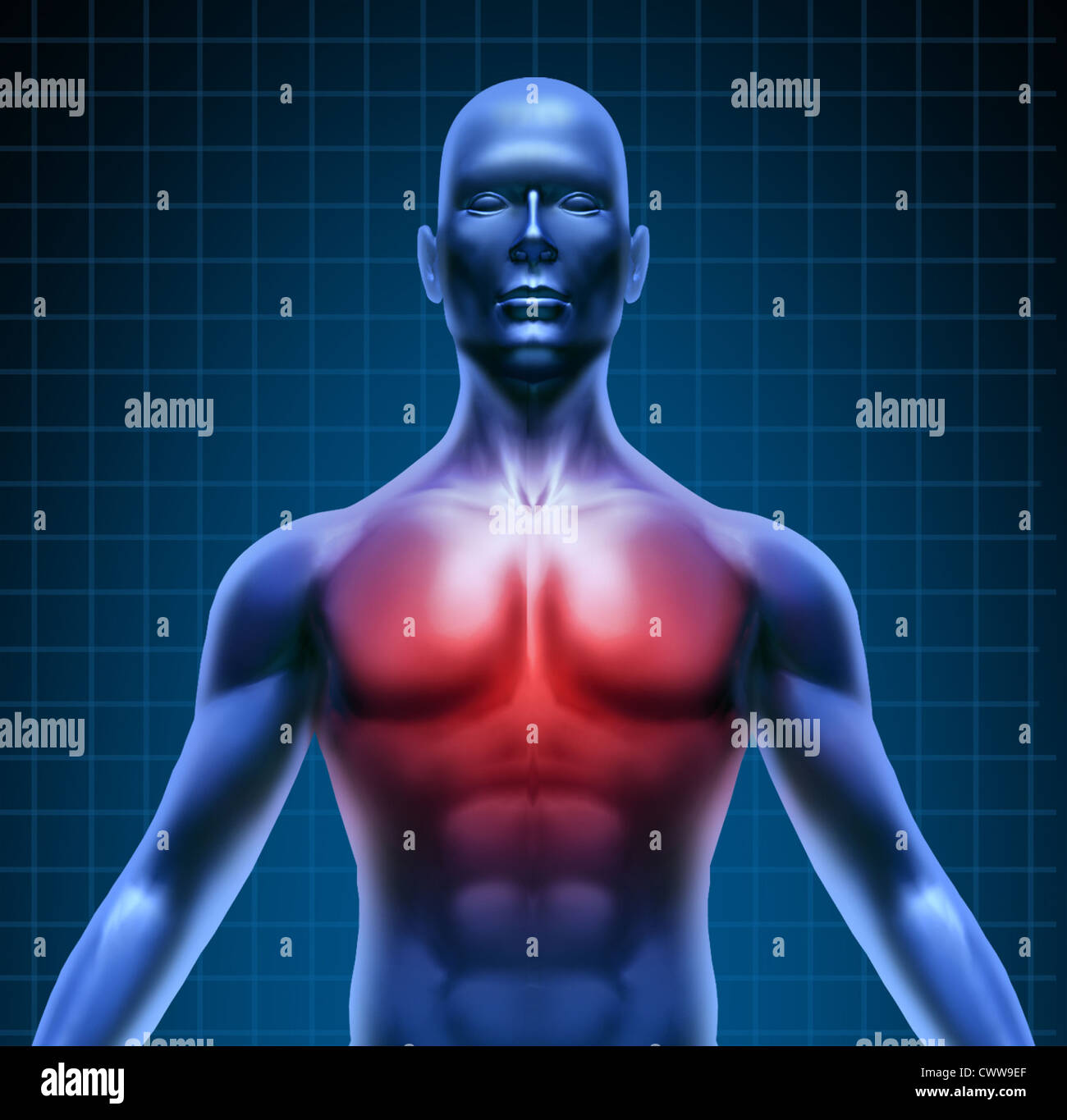 Chest arteries hi-res stock photography and images - Alamy